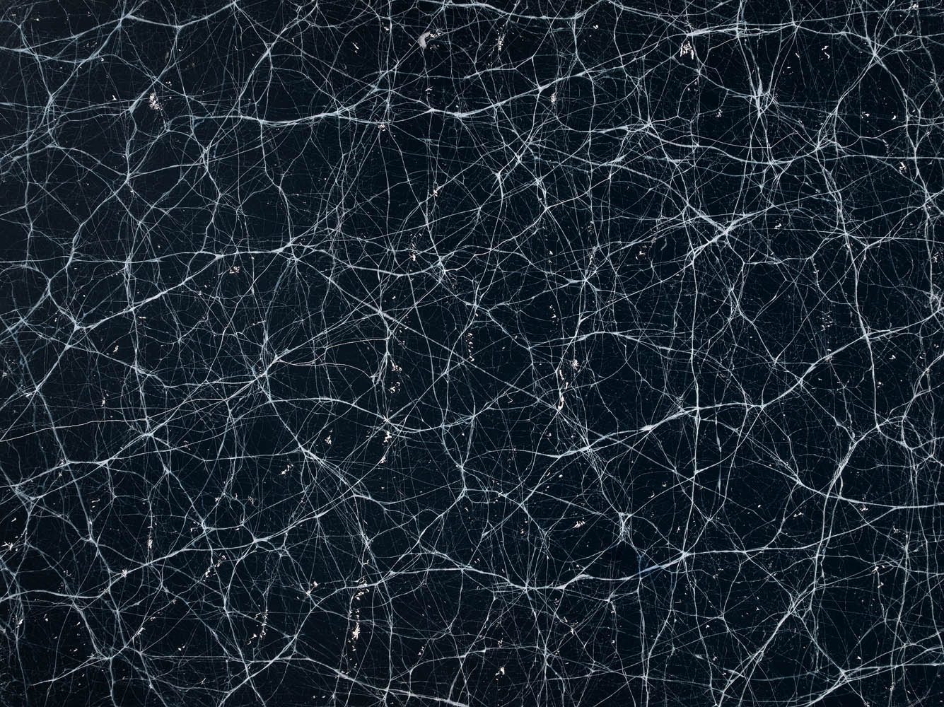 Neural Network - These ice cracking patterns reminded me of a neural ...