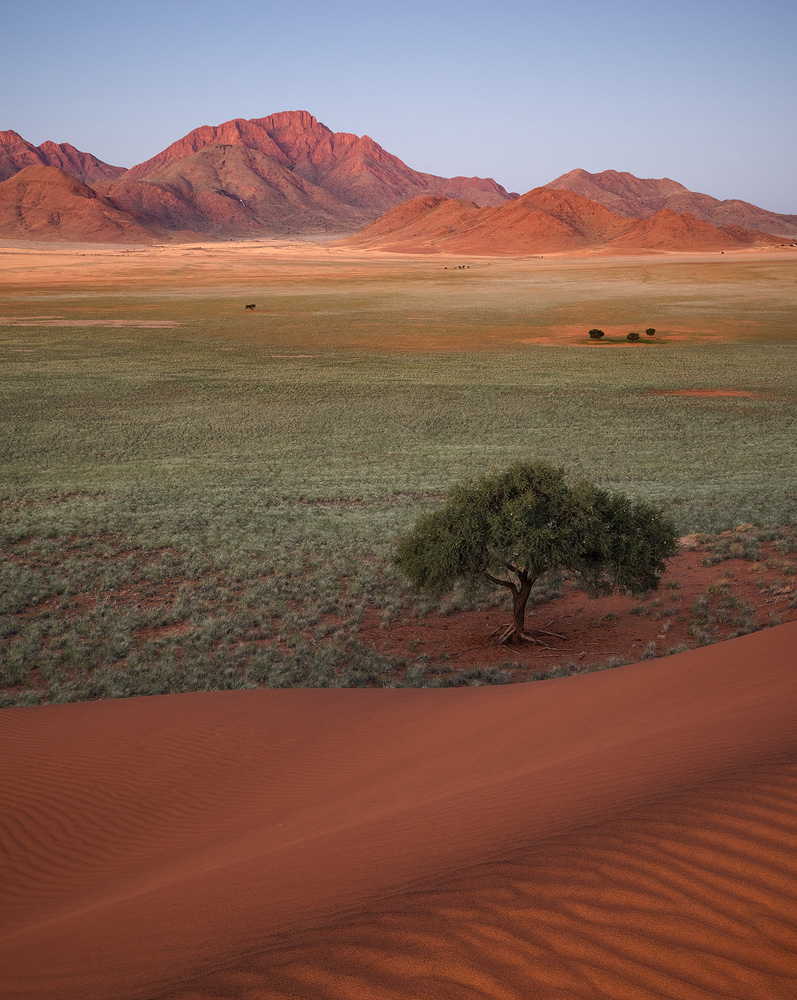 Layers of the Namib - astounding red dunes, plains covered with grass ...