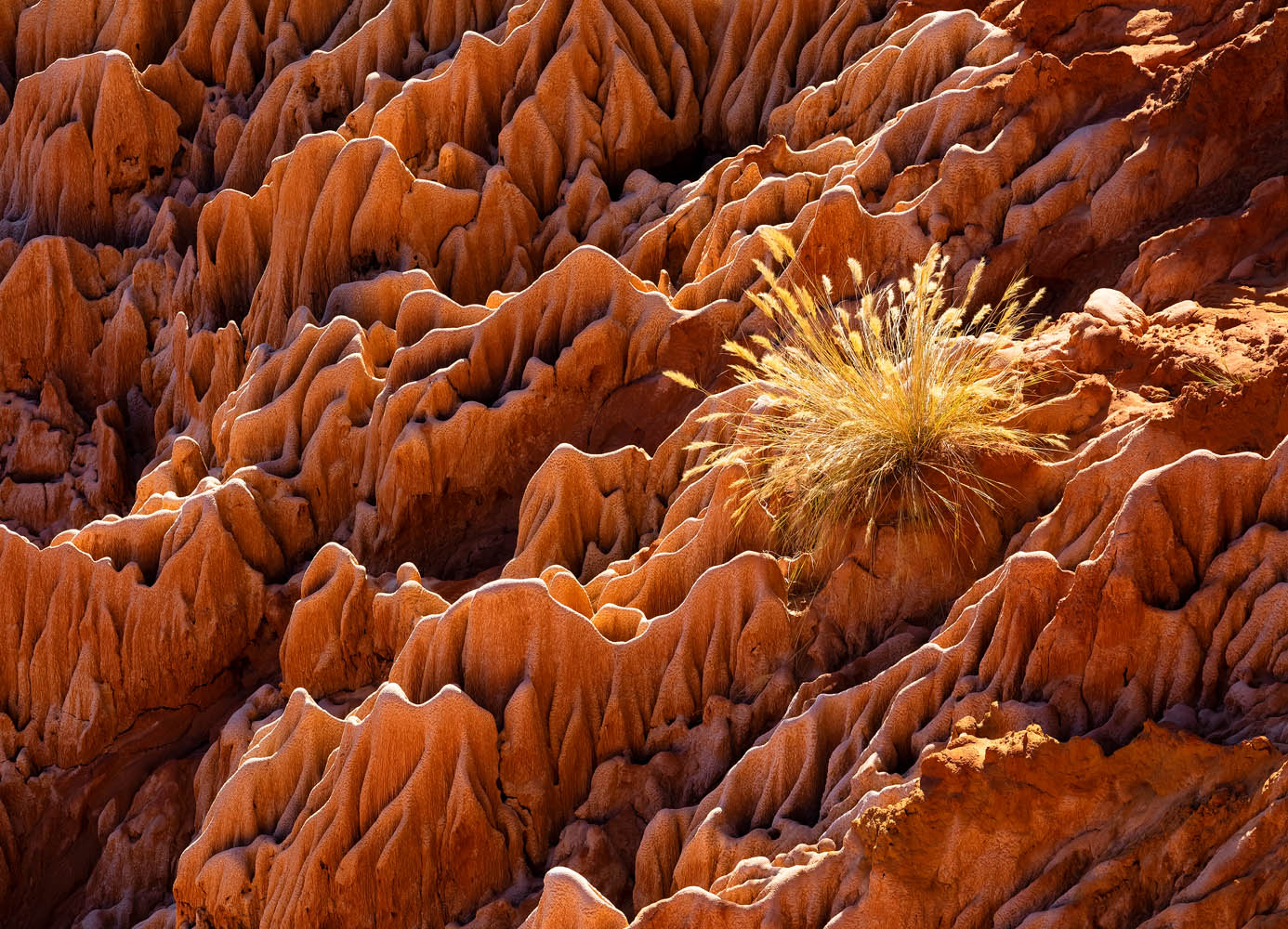 Ripples of the Red Sea - Beautiful patterns in the vast Red Tsingy ...