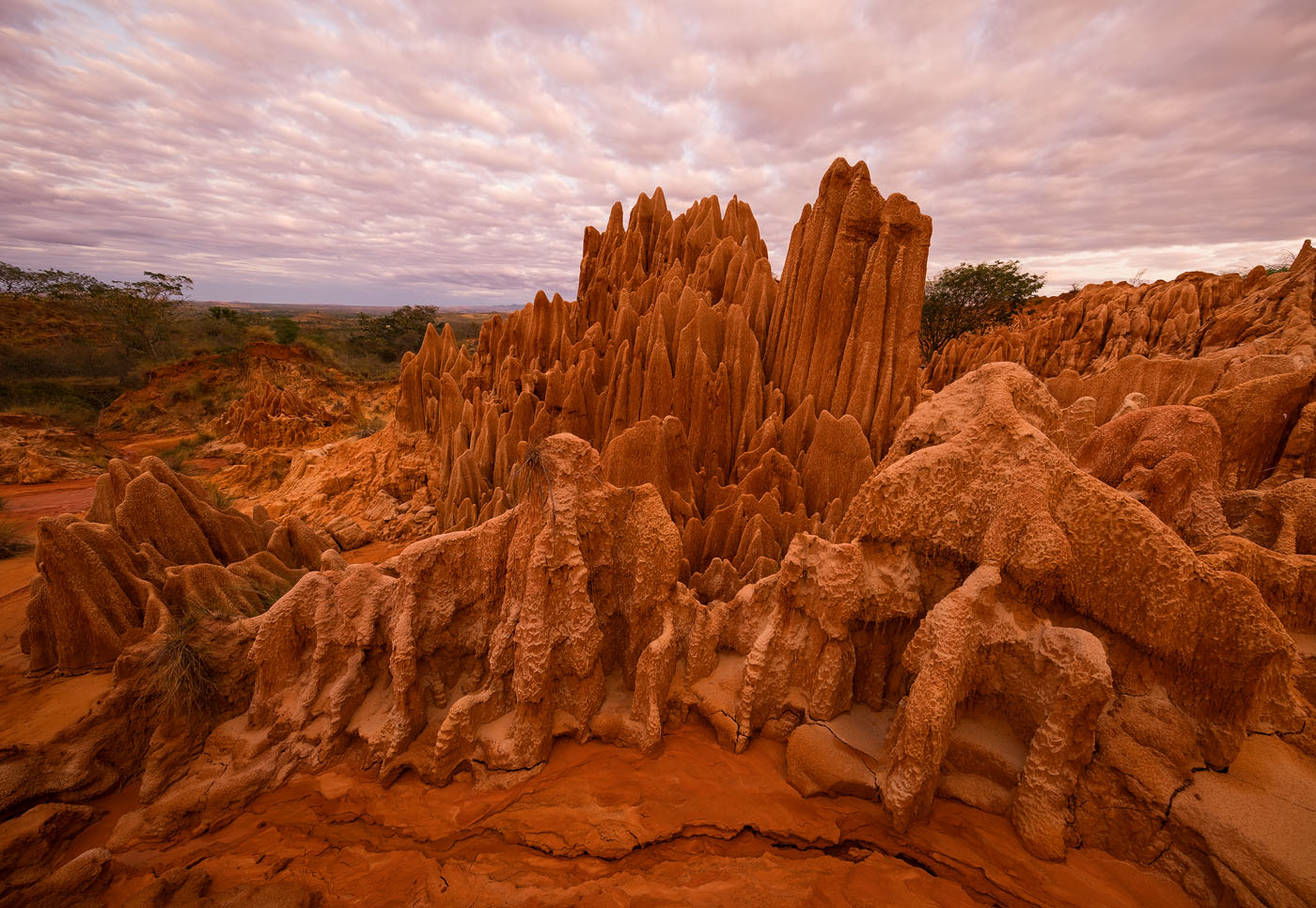 Castle of Crimson - A magnificent structure of red tsingy resembles a ...