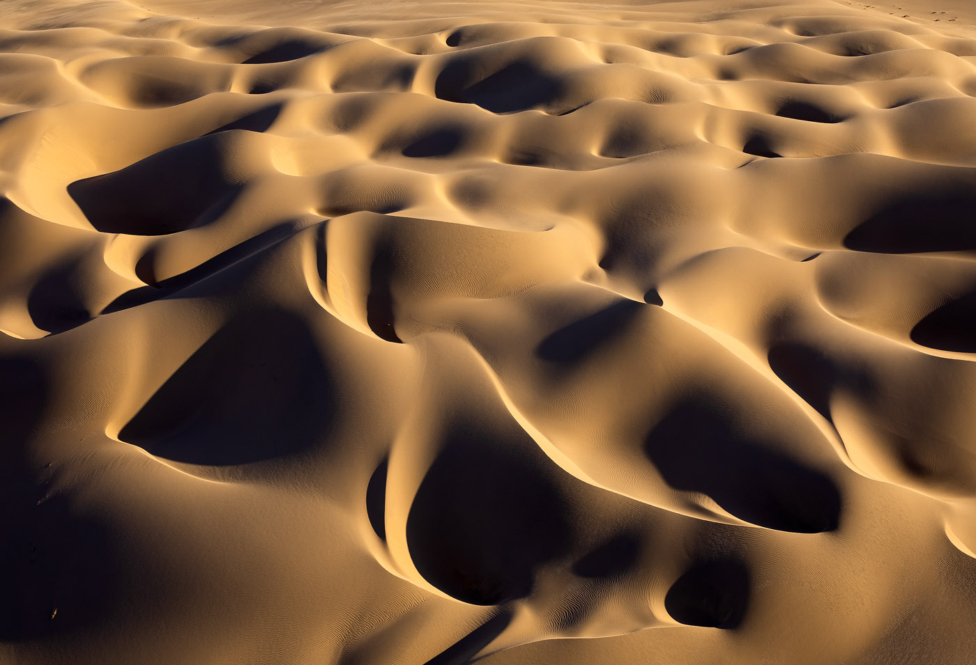 Desert Lotus - side-lit dunes looked like a gigantic lotus flower when ...