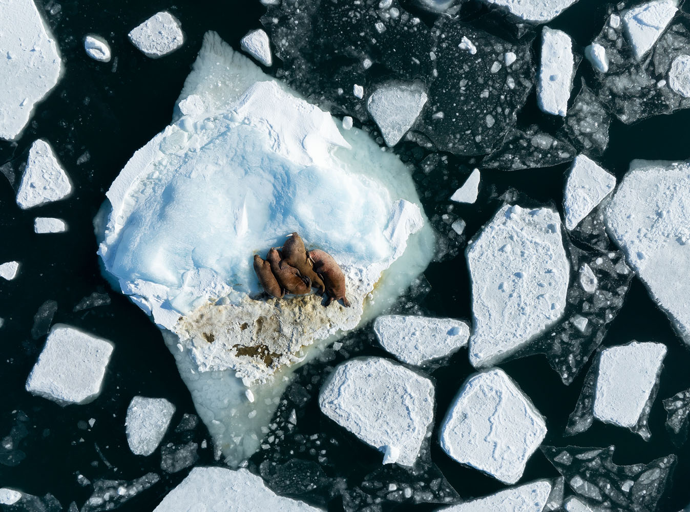 Slumber Party - The best party EVER (at least in Svalbard) - Magdalenefjord